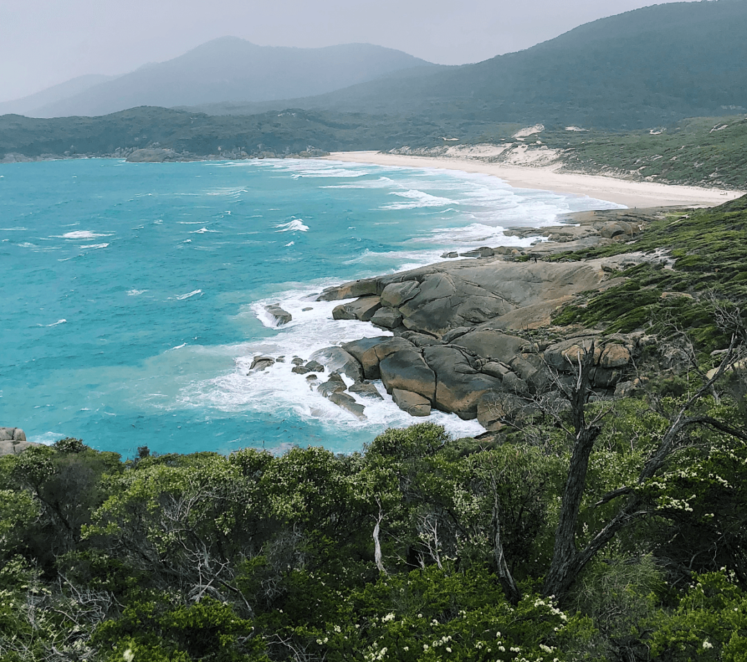 Things to do in Wilsons Prom - Our travel guide to the Promontory