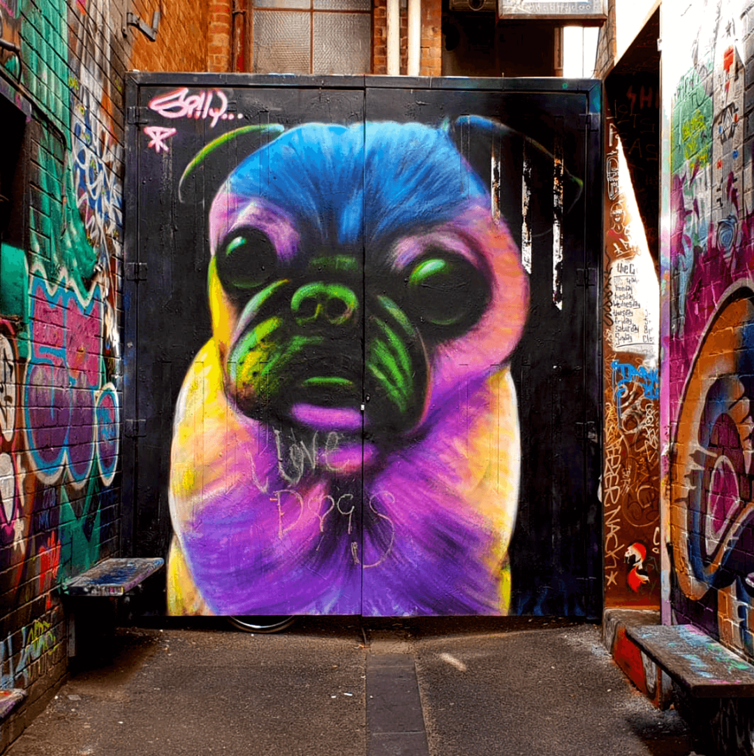 Melbourne Street Art Guide - Explore the Cities Graffiti