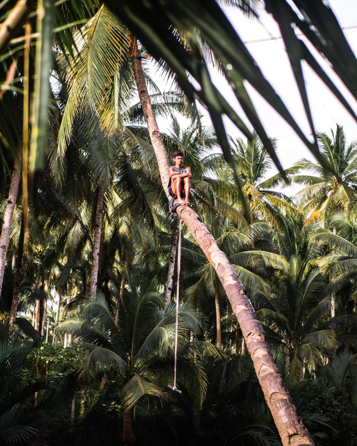 Palm Tree Rope Swing Siargao - Explore The Maasin River