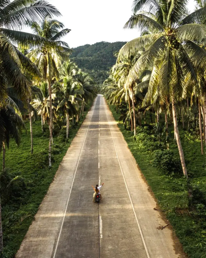 Palm Tree Road Siargao - Explore The Endless Road Of Pristine Palms