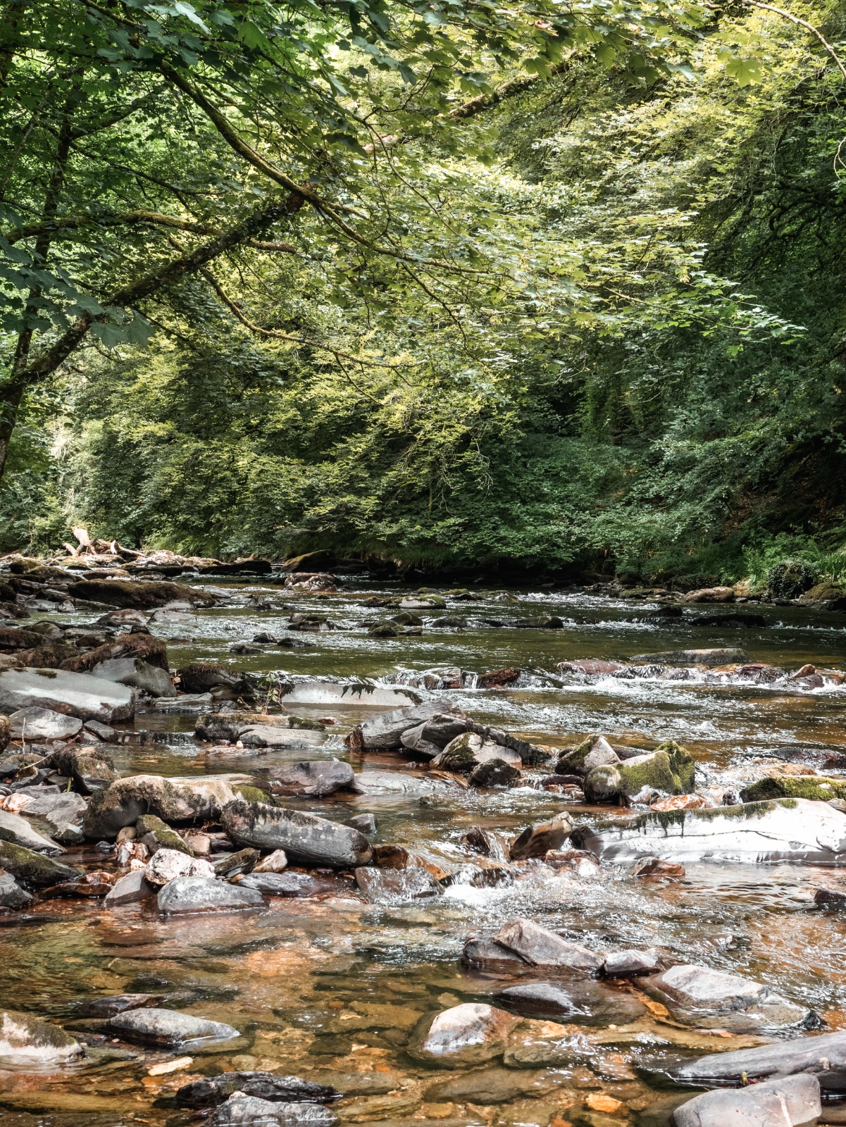 7 Things To Do In Exmoor National Park - Our guide to the Moor's